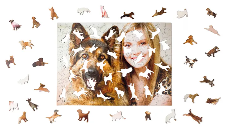 The Intriguing World of Picture Puzzles - Daniels Toy Empire